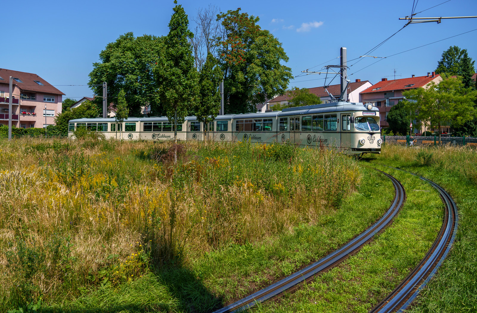 Feiern in der Straßenbahn – Der außergewöhnliche RHB 1020 · rnv Online